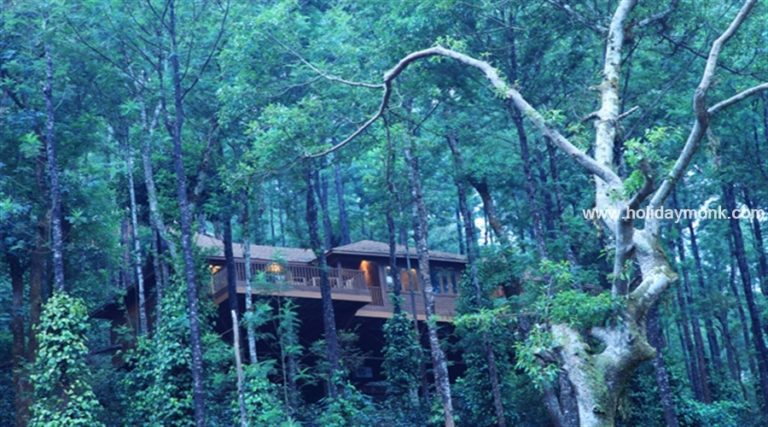 The Tamara Coorg | 5-Star Luxury Nature Resort in Coorg