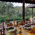 Evolve Back Resort Coorg - Price | Booking | Reviews | Luxury Resort