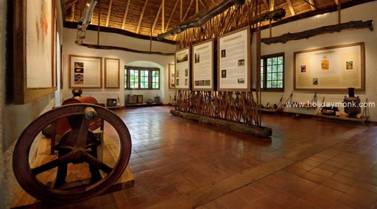 Evolve Back Resort Coorg - Price | Booking | Reviews | Luxury Resort